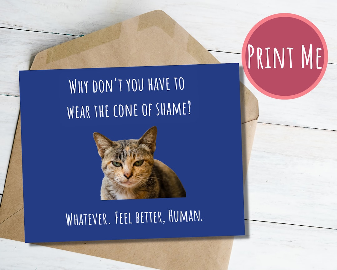 Funny Get Well Soon Cat Card Cat Sympathy Card Printable - Etsy