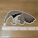 Cute Giant Anteater Die-cut Vinyl Sticker | Wildlife Animal Sticker for ...