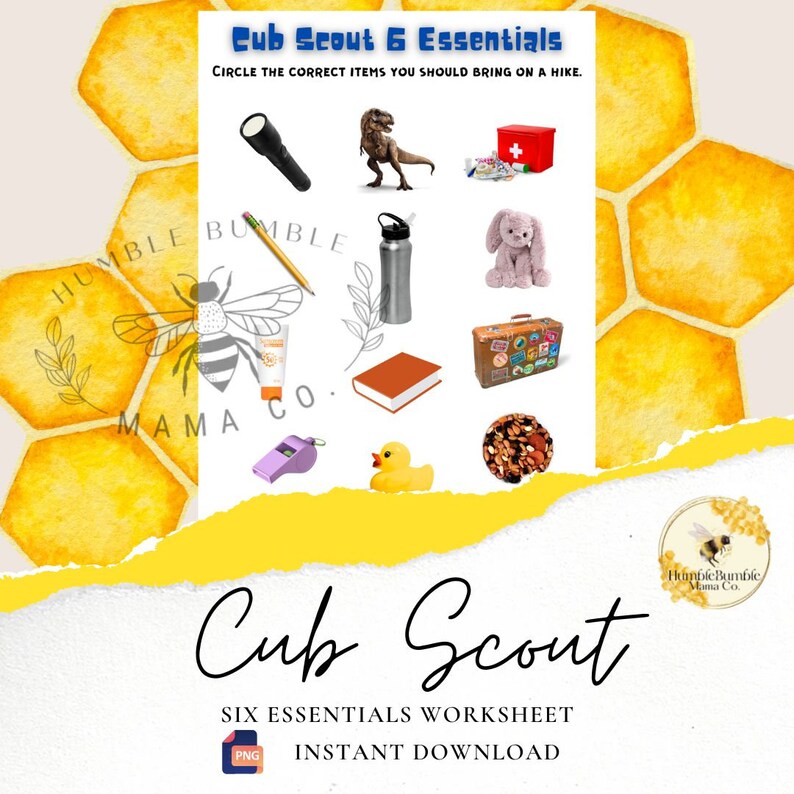 Cub Scout 6 Essentials Seek & Find - Etsy