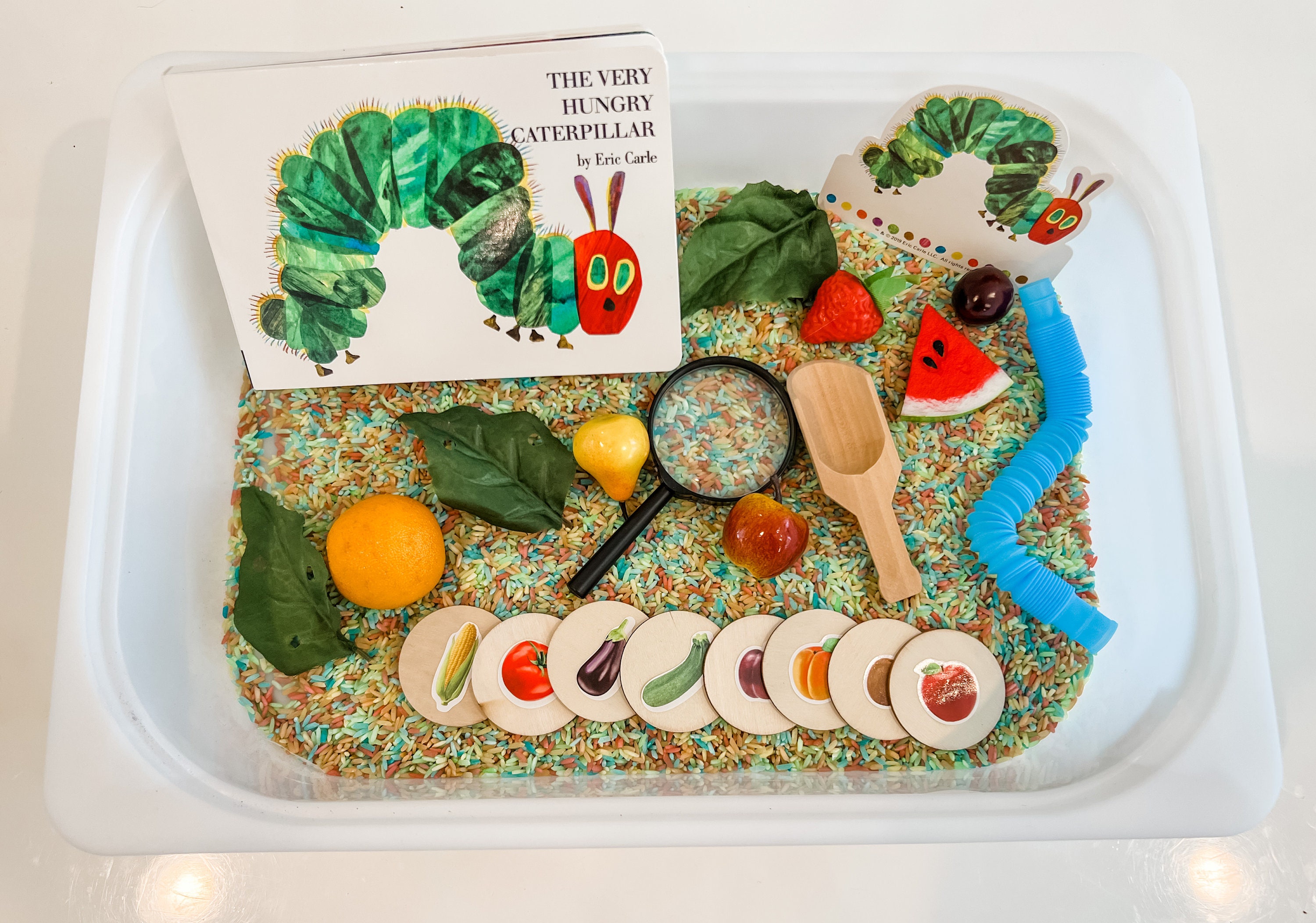 The Very Hungry Caterpillar Speech Sensory Kit includes Book Made by SLP - Etsy