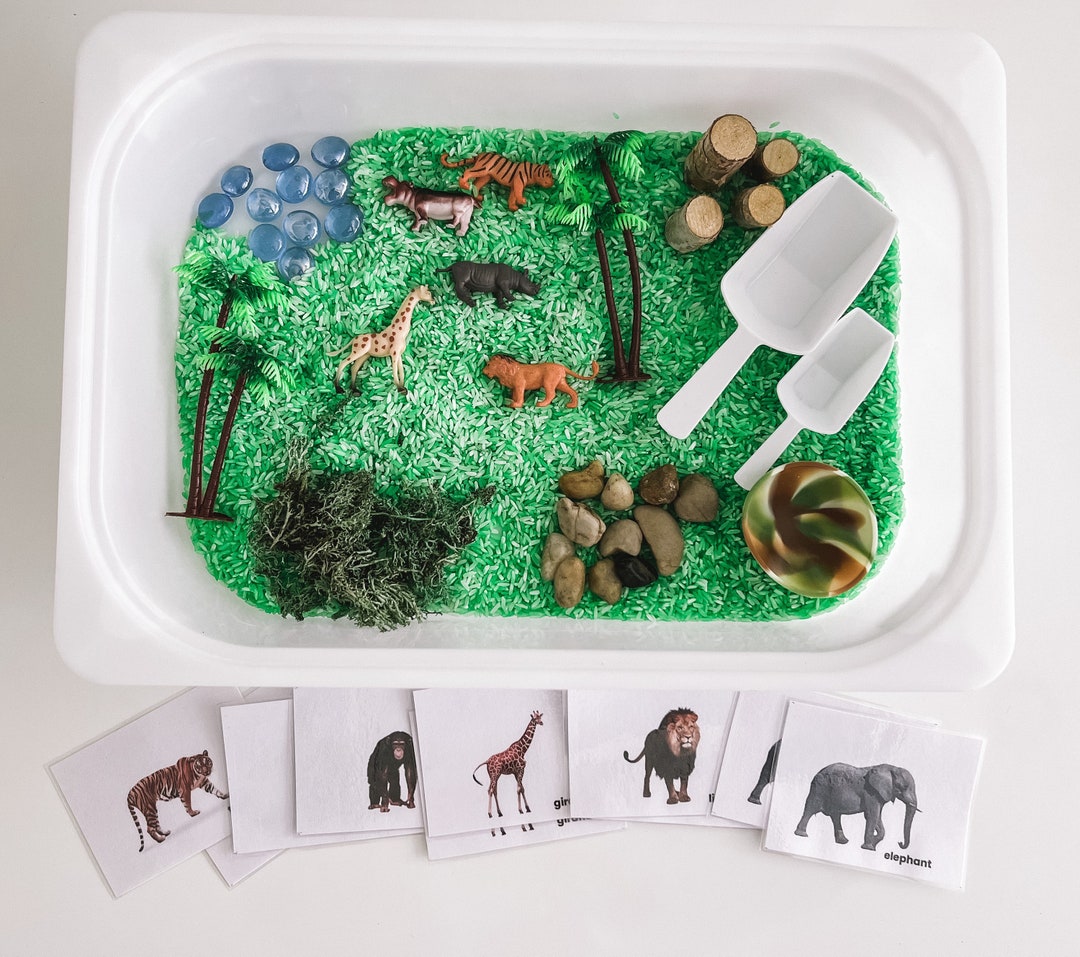 Jungle Speech Sensory Kit- Made by SLP - Etsy