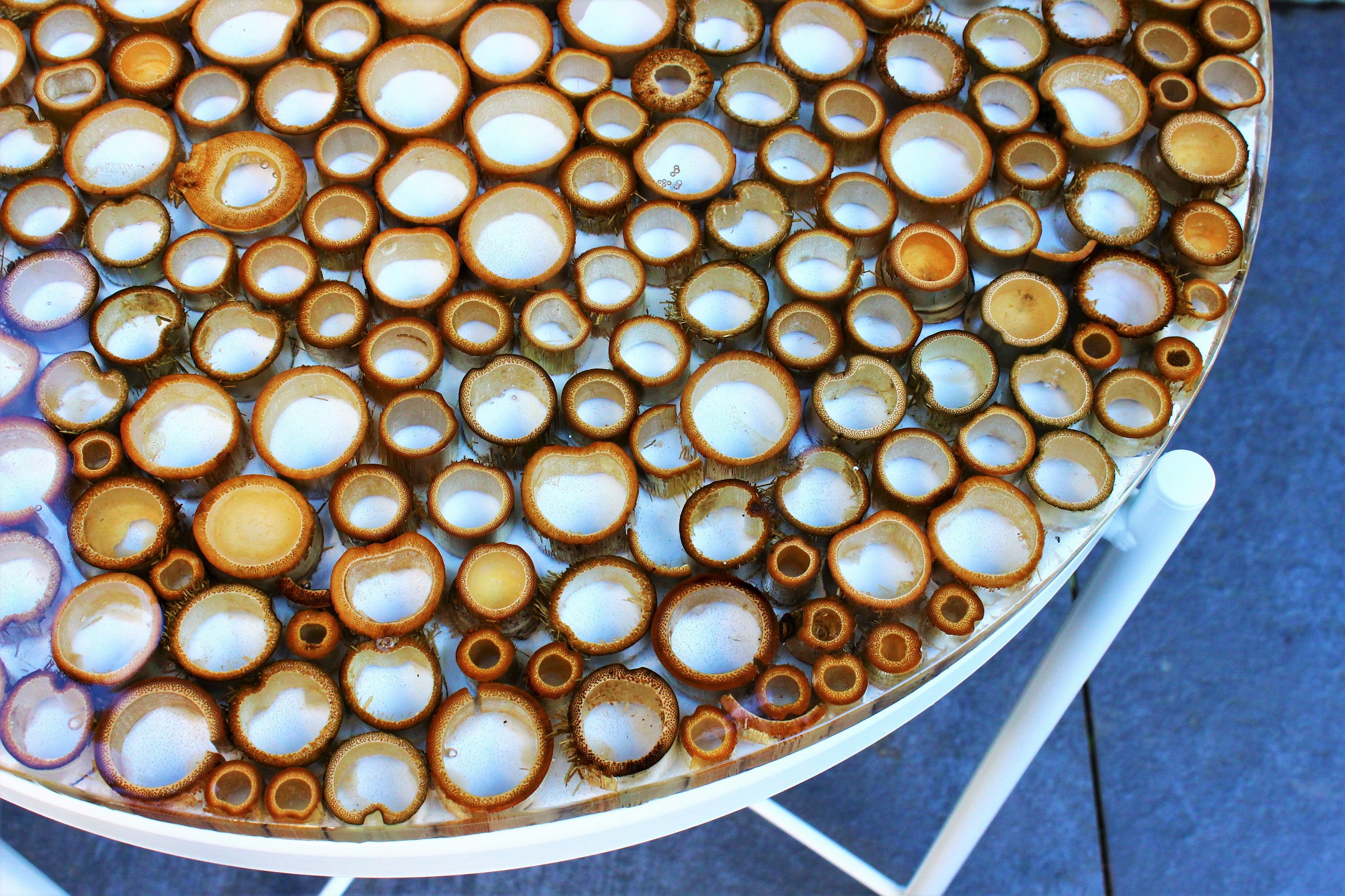 Plateau de table en résine époxy transparente avec support de table en ...