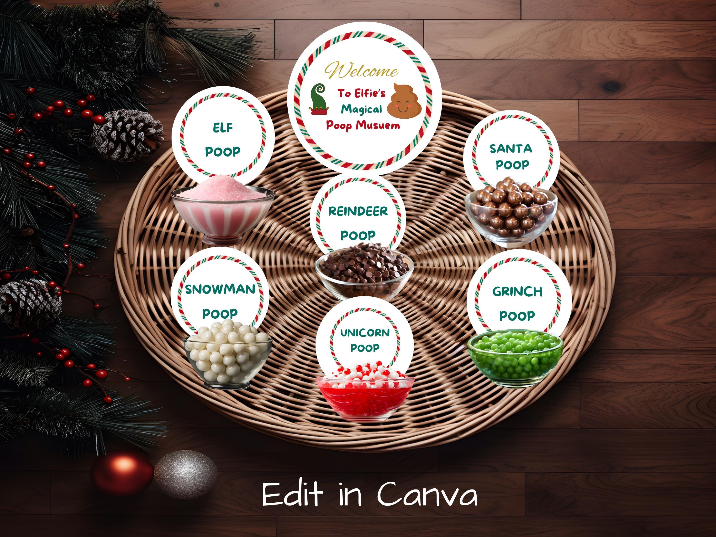 Editable Elf Poop Museum Templates, Santa Poop, Elf Poop, Grinch Poop ...