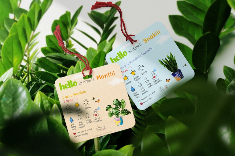 Plant Tag's - Etsy