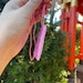 Japanese Omamori Charm for Long Lasting Love - New Talisman - Amulet ...