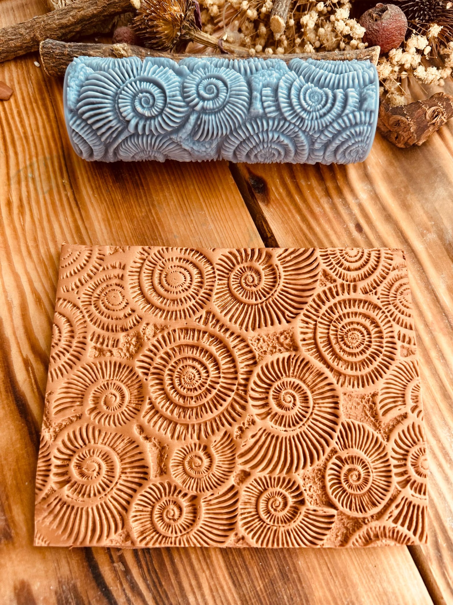 3D Ammonite Fossil Texture Roller: Polymer Clay, Soap, Cookie Dough ...