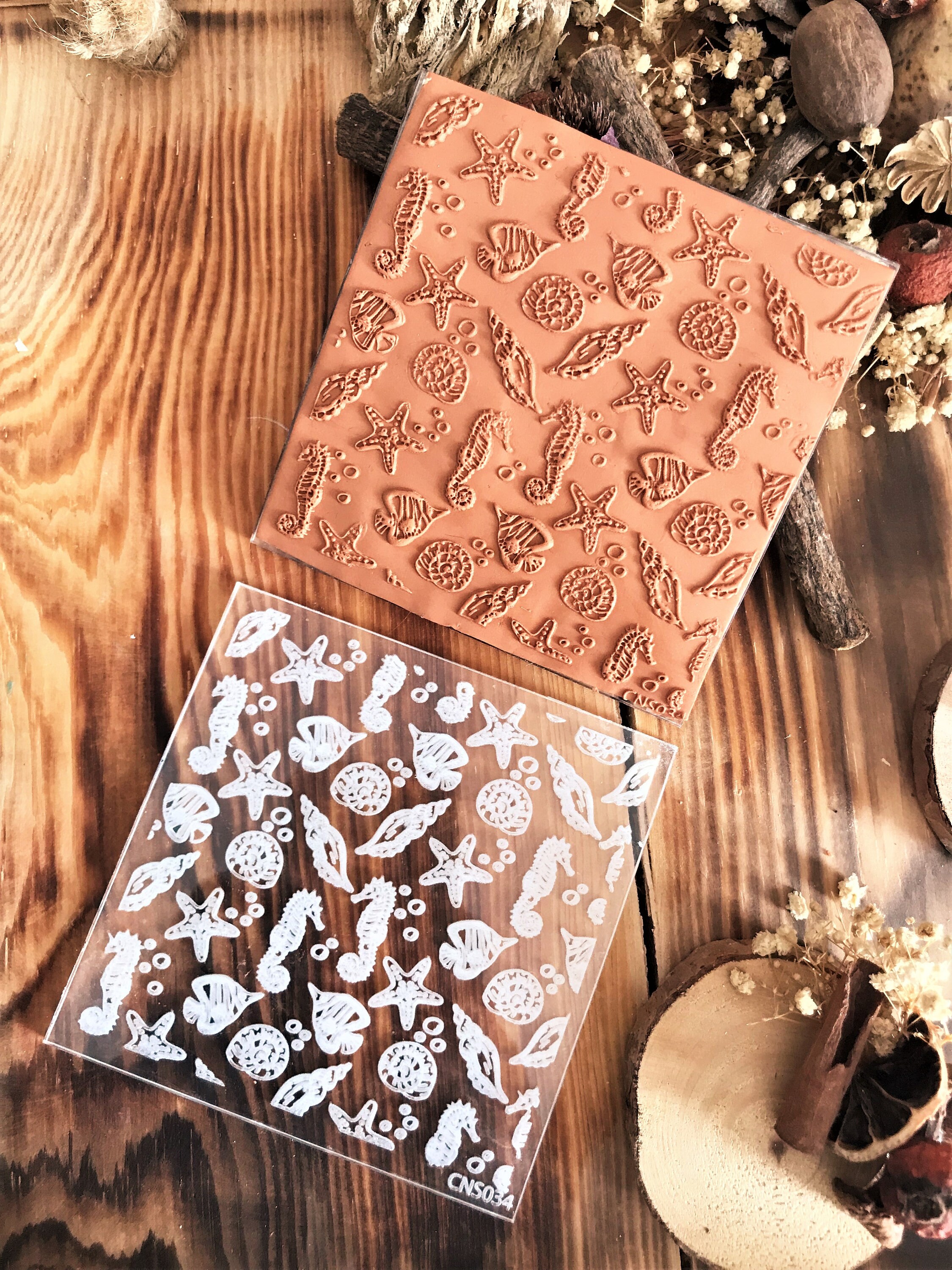 Sealife Pattern Embosser Fondant Stamp, Acrylic Embosser for Cookies ...