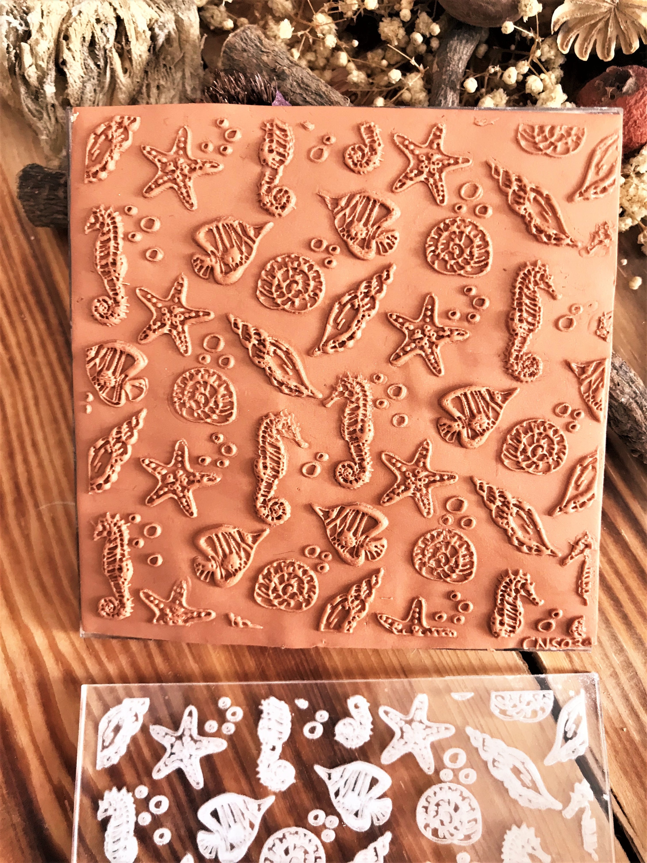 Sealife Pattern Embosser Fondant Stamp, Acrylic Embosser for Cookies ...