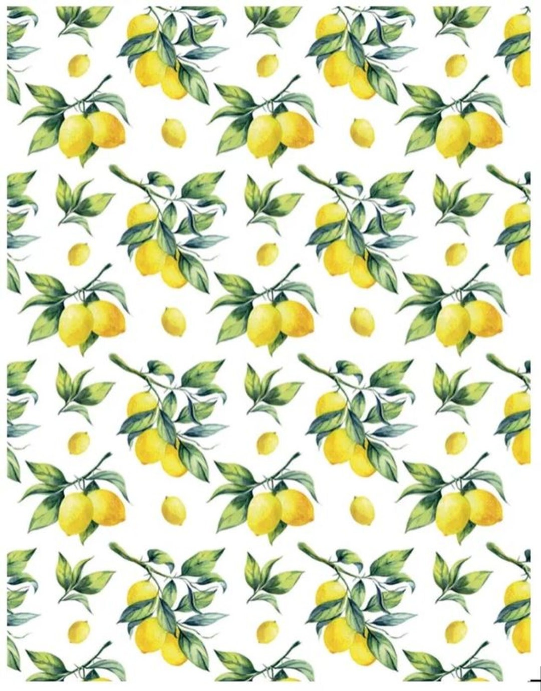 Water Transfer Paper for Polymer Clay, Ceramics and Wood, Large Size 25 ...