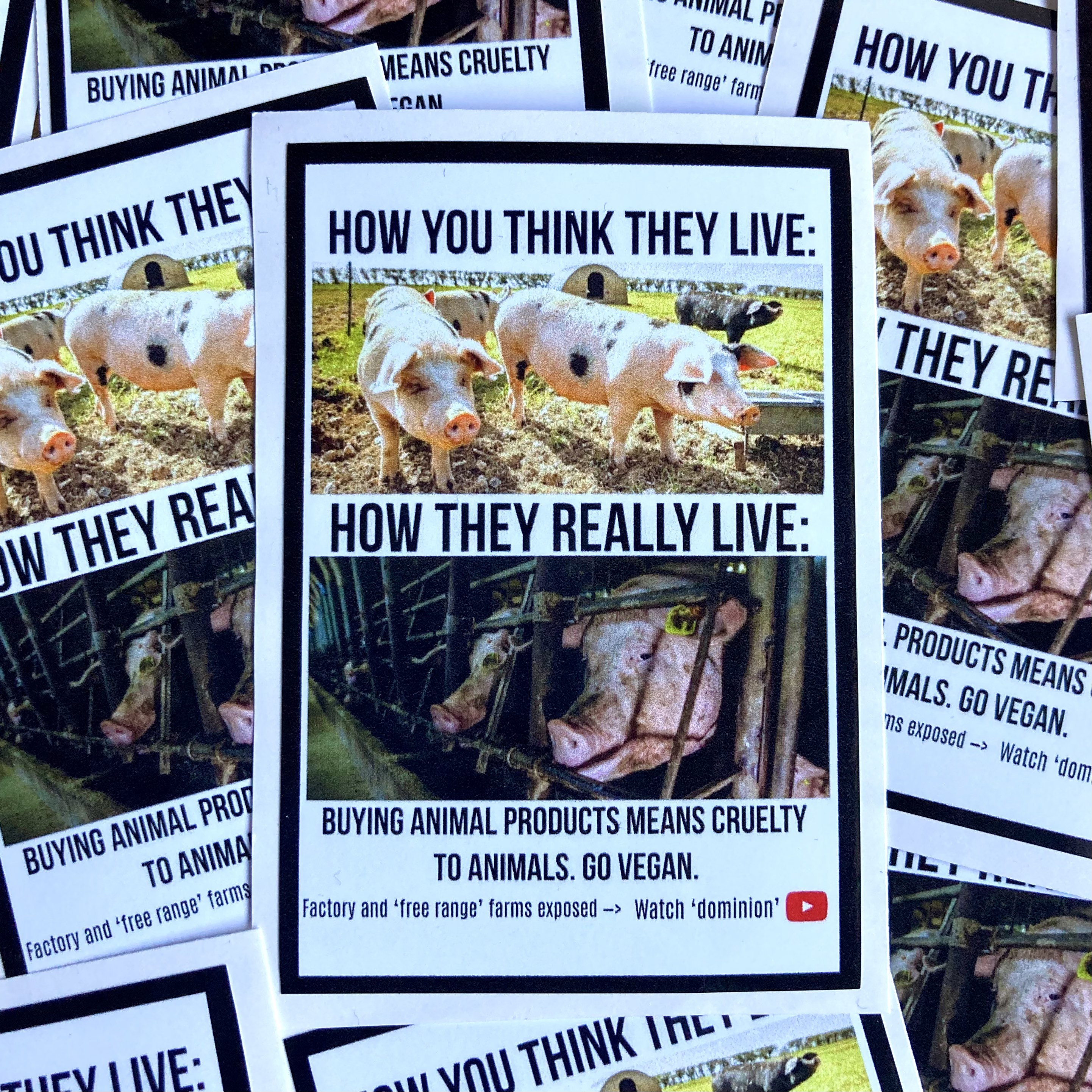 Farm Animal Cruelty Posters