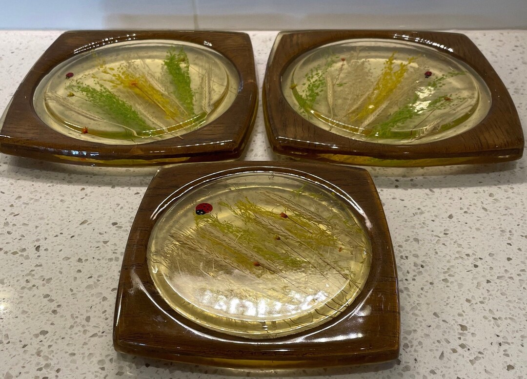 Vintage Ladybug LUCITE Wood Trivets, Set If Three, With Flowers and ...