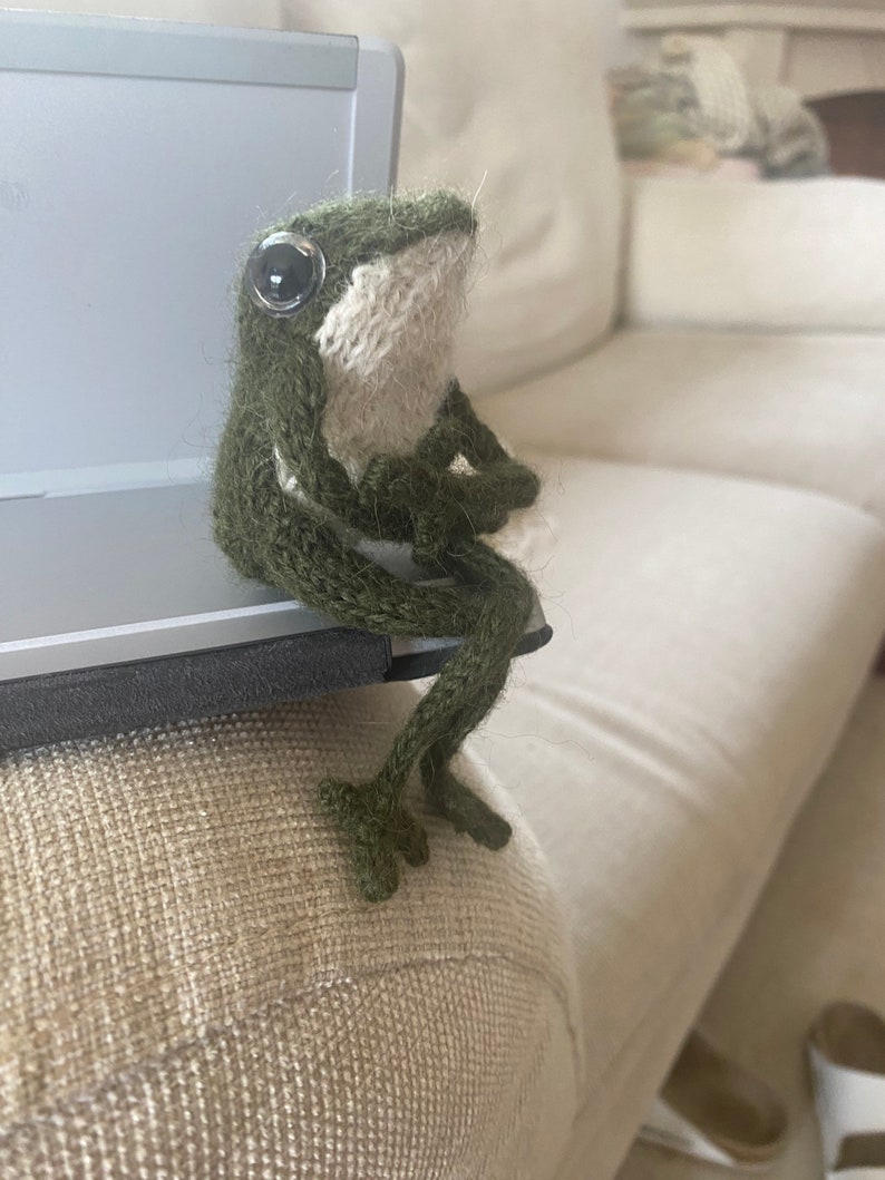 Cutest Little Knitted Frog W/sweater - Etsy