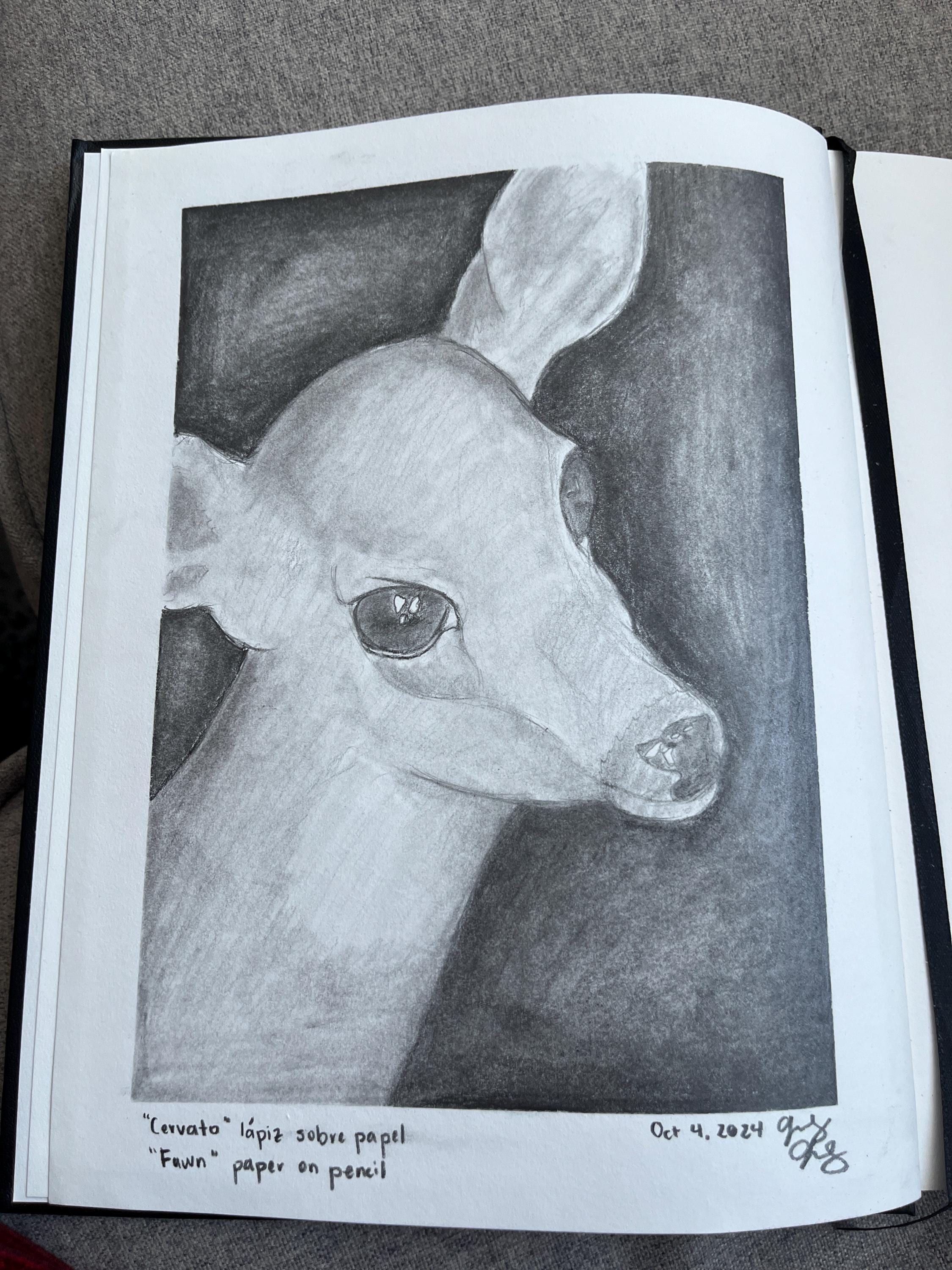Young Deer Fawn Pencil Drawing digital Download - Etsy