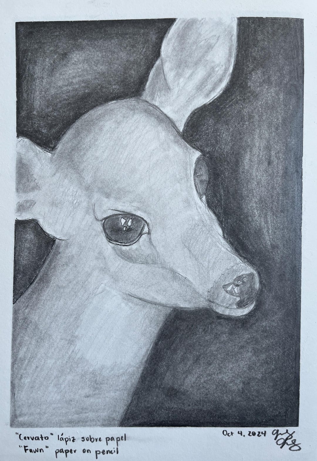Young Deer Fawn Pencil Drawing (digital Download) - Etsy