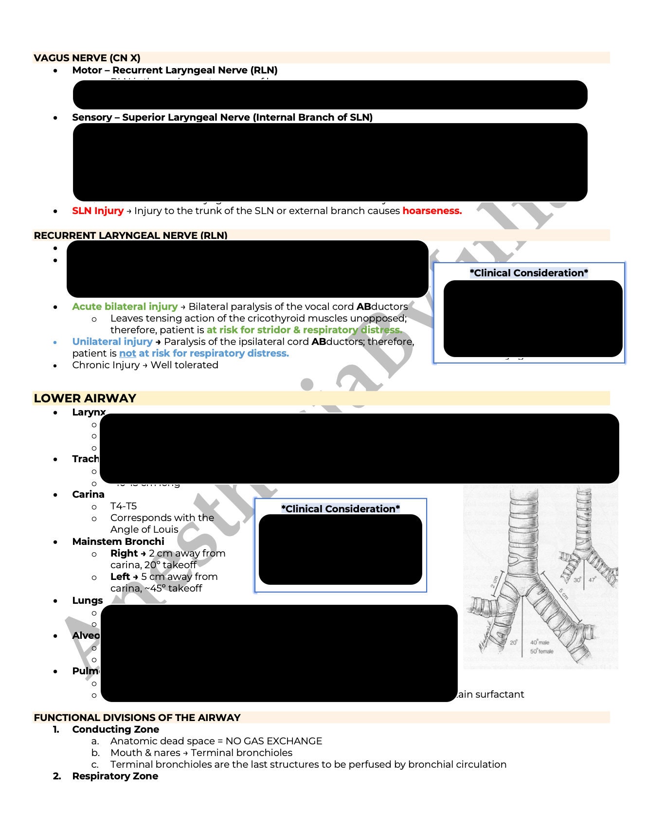 Anesthesia Airway Anatomy & Physiology Review BOARDS REVIEW - Etsy ...