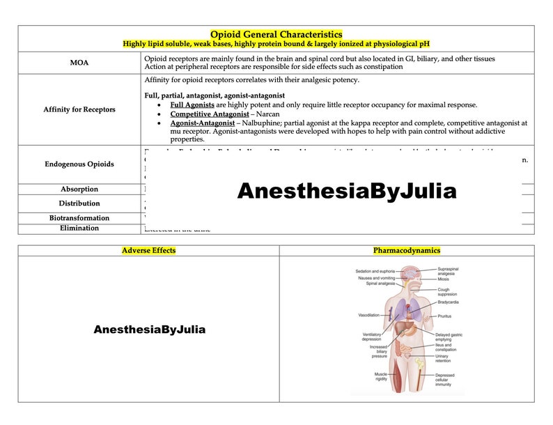 Opioids & Nsaids Anesthesia Drug Table - Etsy