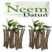 Raw Herbs,jadi Booti Neem Daatun, Neem Datoon, Neem Datun Size 6 Inch ...
