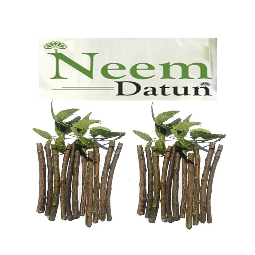 Raw Herbs,jadi Booti Neem Daatun, Neem Datoon, Neem Datun Size 6 Inch Approx, Natural No ...