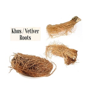 Organic Vetiver Root - Natural Organic Herb - Chrysopogon Zizanioides ...