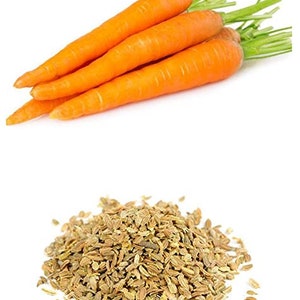 Edible Carrot Seeds ,gajar K Beej ,indian Herb,daucus Carota,beej Gajar ...