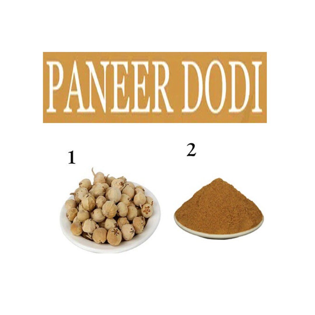 Paneer Dodi,paneer Dodi Powder,withania Coagulans,raw Herbs,paneer Doda ...