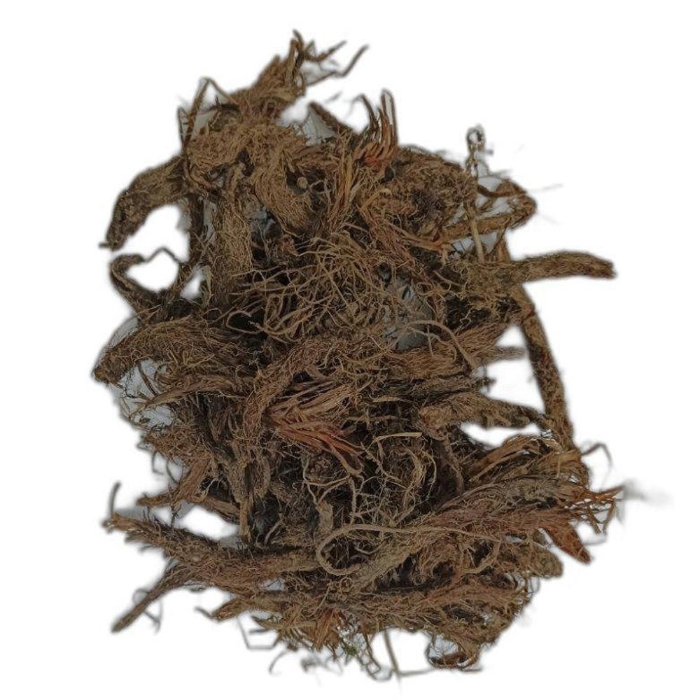 Nardus Jatamansi Root,natural Jatamansi Powder,balchar,nardostachys ...