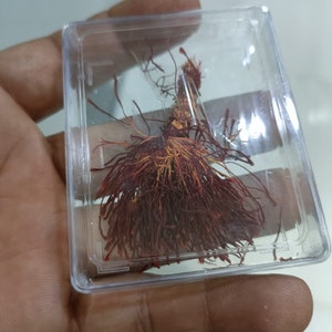 Organic Natural Saffron - Kashmiri Kesar - Jafran - World's Best ...