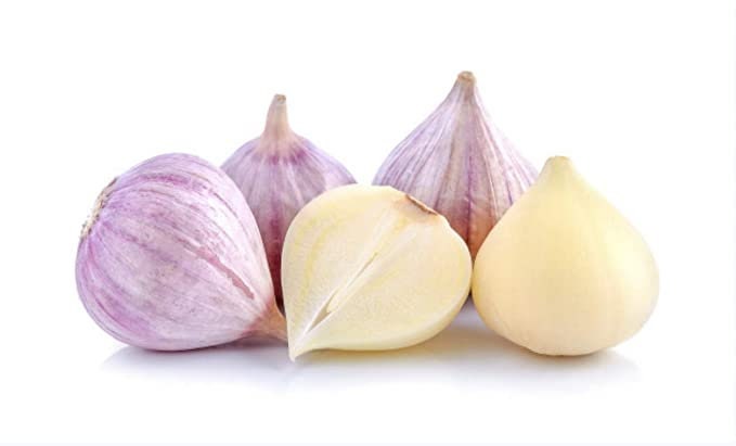 Organic Solo Garlic, Wild Single Clove Garlic, Java Solo Garlic Single ...