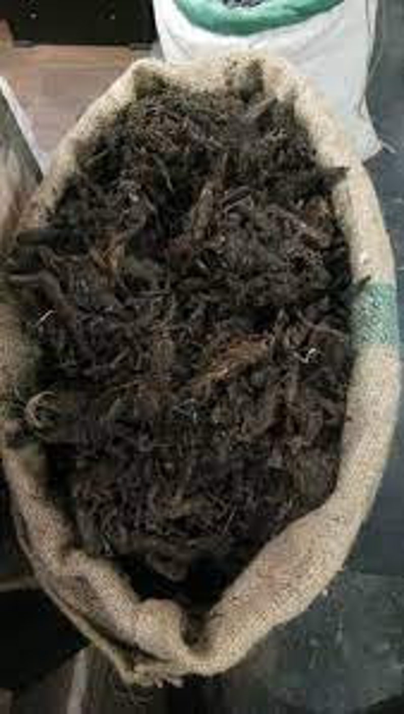 Nardus Jatamansi Root,natural Jatamansi Powder,balchar,nardostachys ...