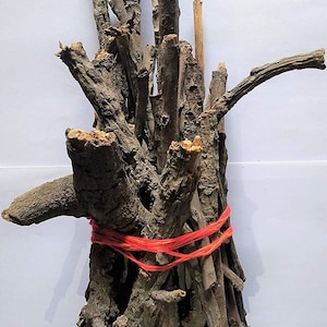 Mango Tree Wood Whole Mangifera Indica AAM LAKDI Mango Tree Wood - Etsy