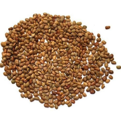 Grocery Kulthi Pulse, Gahat Dal Dolichos, Hos Biflorus Horse Gram Pulse ...