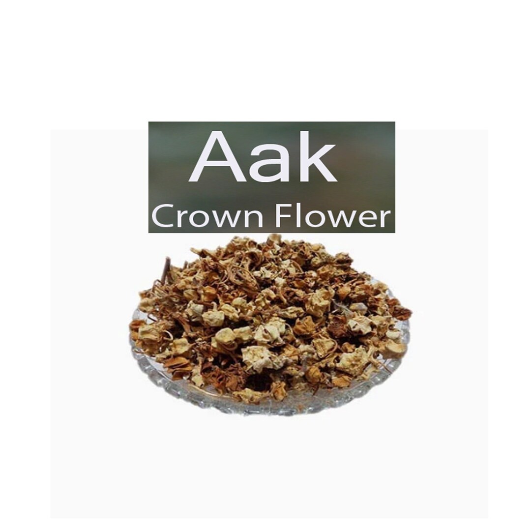 Crown Flower, Gul Madar, Aak Phool, Gul Madar, Calotropis Procera Dried ...