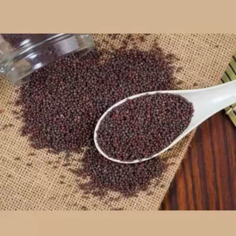 Organic Jakhya Seed, Wild Mustard, Himalayan Jakhya, Cleome Viscose ...