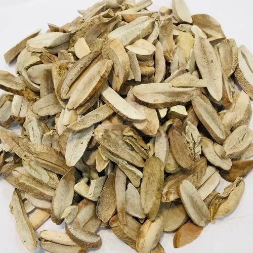 Dried Mango Seed, Mangifera Indica, Raw Herbs, Aam Guthali, Ogbono ...