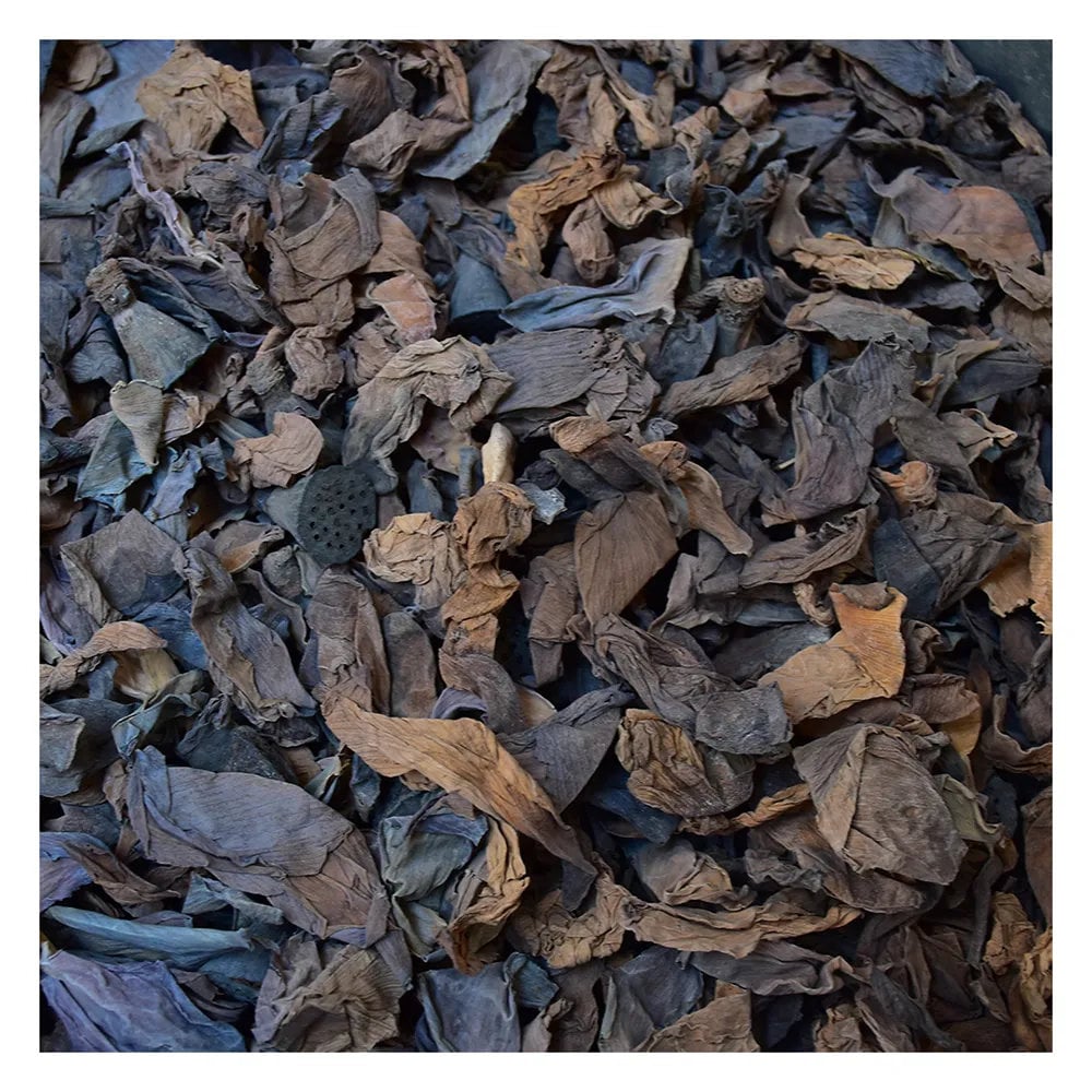 Dried Blue Lotus Flower Petals Dried Nymphaea Caerulea Petal - Etsy