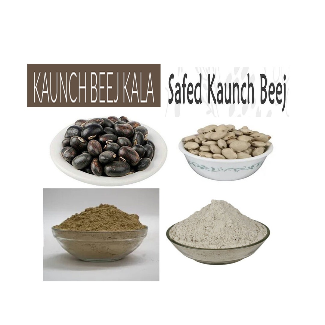 Kaunch Beej Churna, White Kaunch Beej,cowitch, Cowhage, Velvet Bean ...