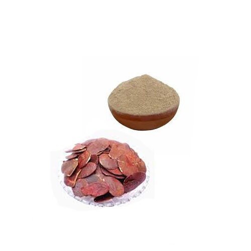 Palas Beej, Butea Monosperma Seeds, Palash Seeds, Bilas Papda, Tesu ...