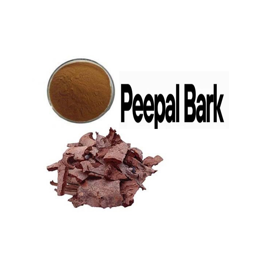 Authentic Bark Powder, Ficus Platyphylla, Peepal Bark Powder, Pipal KI ...