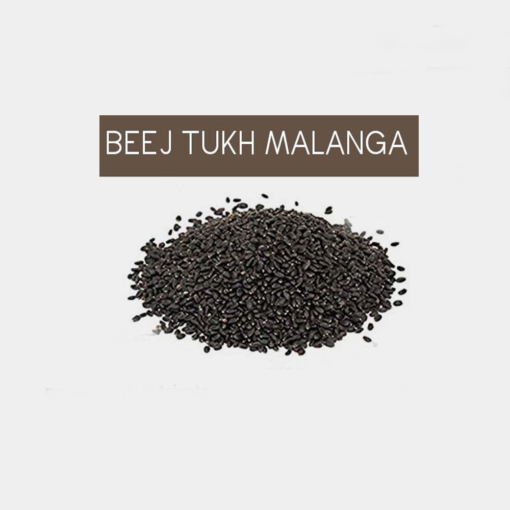 Organic Tukh Malanga, Balanga, Basil Seeds, Ocimum Basilicum ...