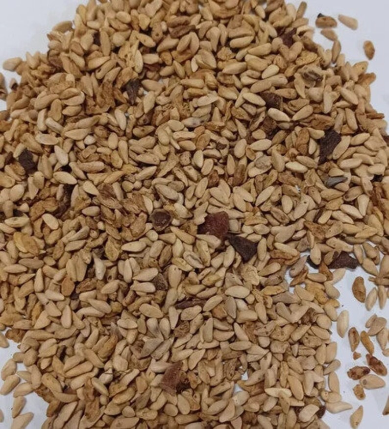 Utangan Beej, Organic Utangan Beej, Raw Herb, Jadi Booti, Dried Utangan ...