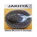 Organic Jakhya Seed, Wild Mustard, Himalayan Jakhya, Cleome Viscose ...