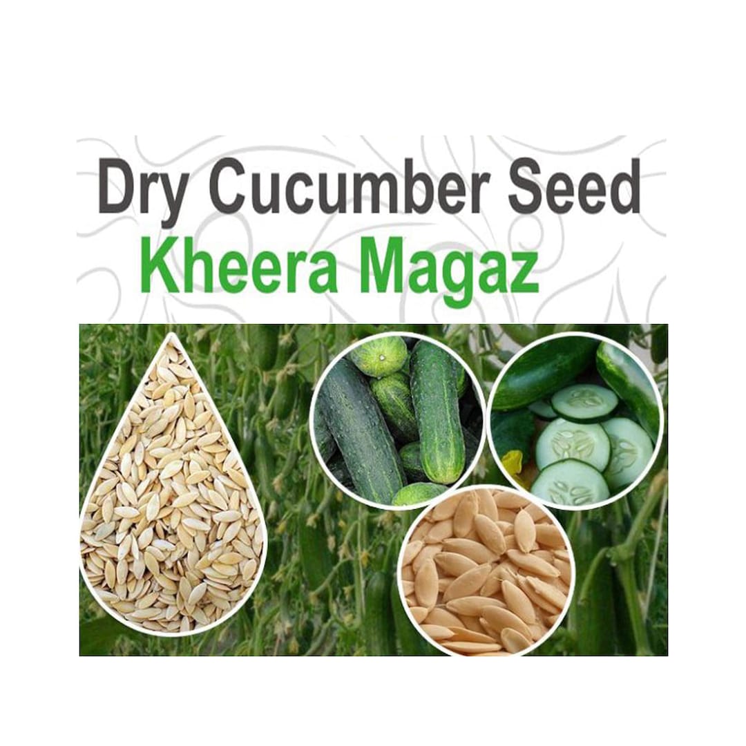Kakdi Maga, Cucumber Seeds for Eating, Kheera Beej, Cucumber Seeds ...