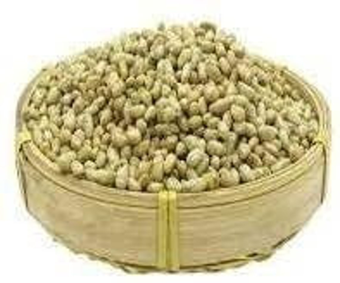 Herbaceous Cotton Plant Seed, Cotton Plant Seeds, Gossypium Herbaceum ...