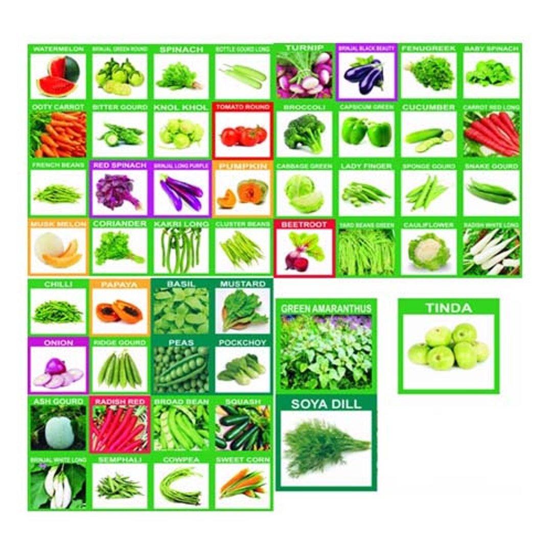 45 Type Vegetable 2670 Seeds 100% Pure Indian Organic Seeds for Your ...