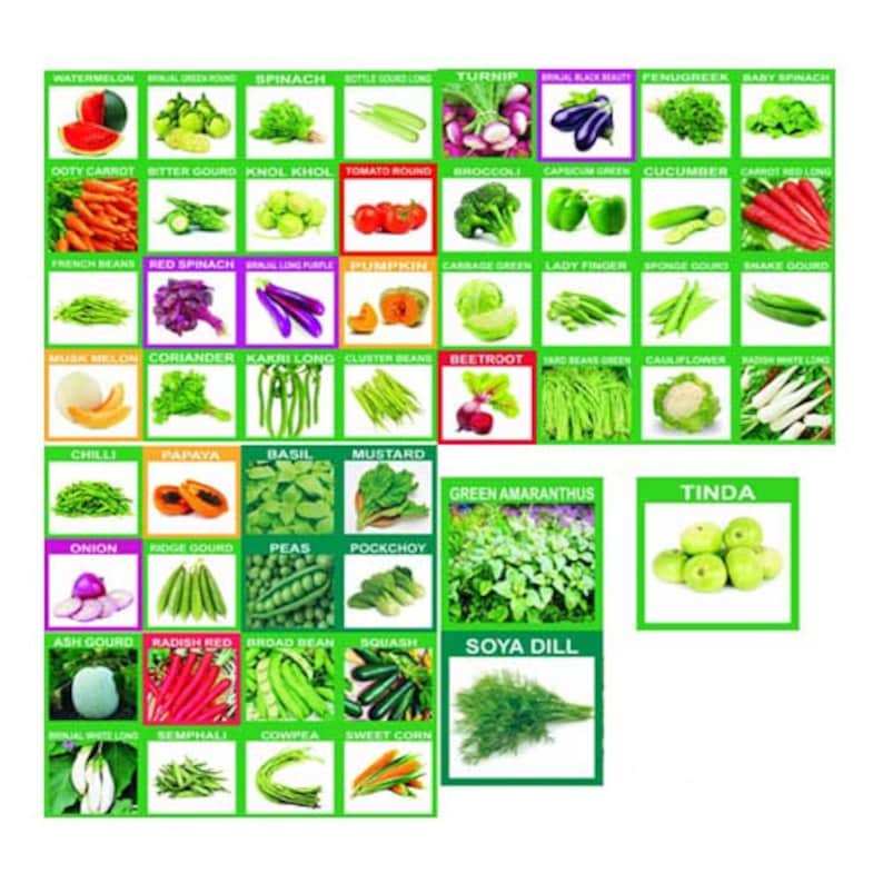 45 Type Vegetable 2670 Seeds 100% Pure Indian Organic Seeds for Your ...