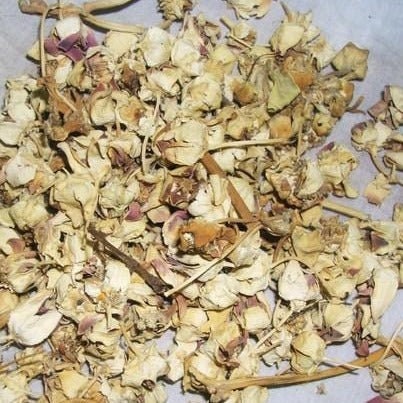 Crown Flower, Gul Madar, Aak Phool, Gul Madar, Calotropis Procera Dried ...