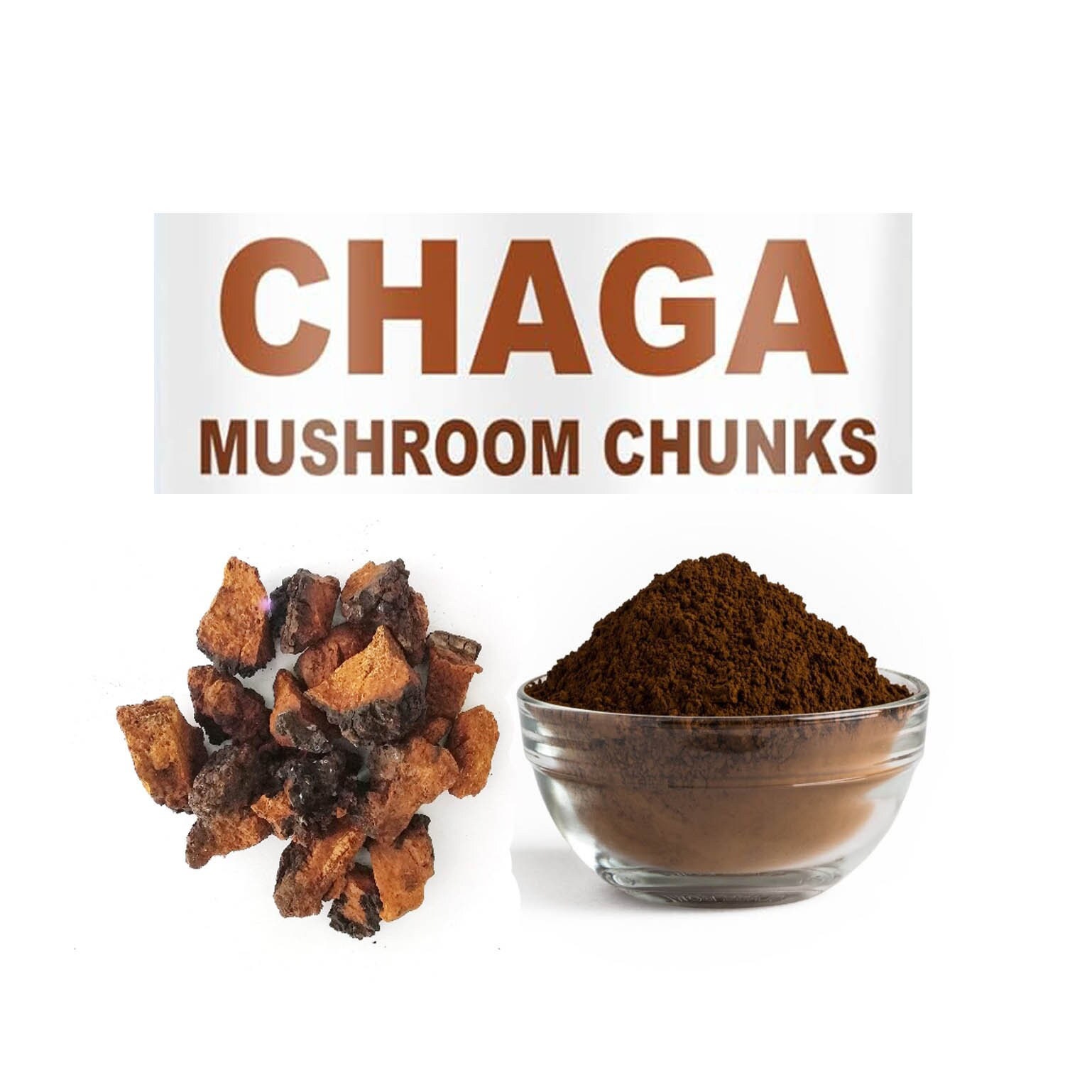 Chaga Mushroom Chunks, Wild Canadian Chaga, Inonotus Obliquus, Brew Tea ...