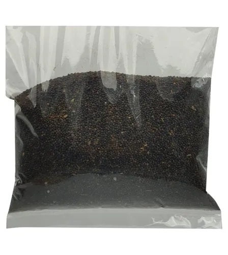 Organic Jakhya Seed, Wild Mustard, Himalayan Jakhya, Cleome Viscose ...