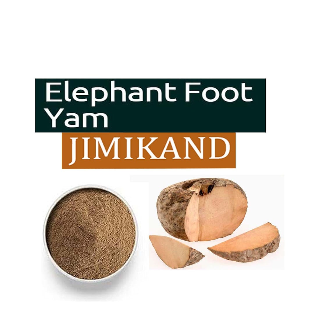 Elephant Foot Yam,amorphophallus Paeoniifolius,elephant Foot Powder ...