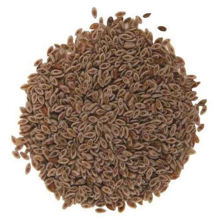 Psyllium Husk, Isabgol Ispaghula, Plantago Indica, Isabgol, Dried Whole ...